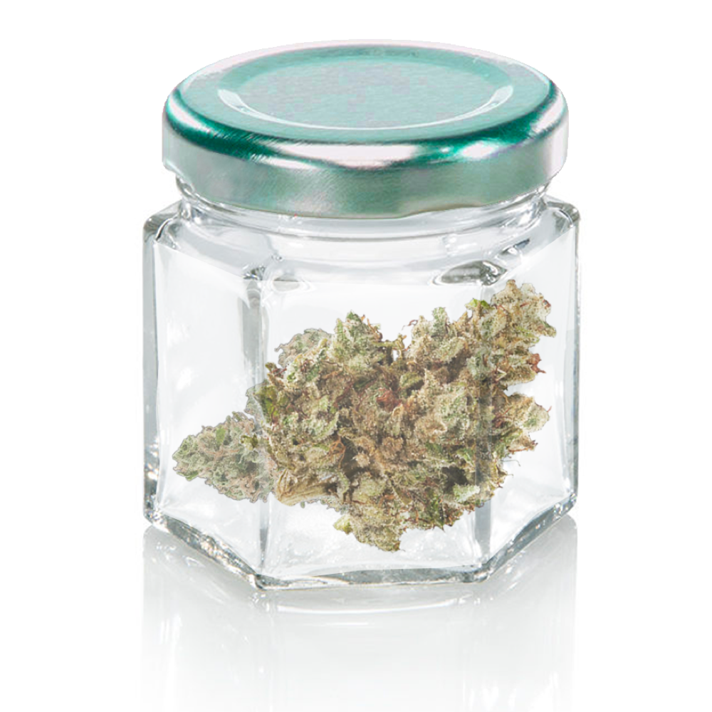 Road Tripper Flower Review - Smooth and Stoney